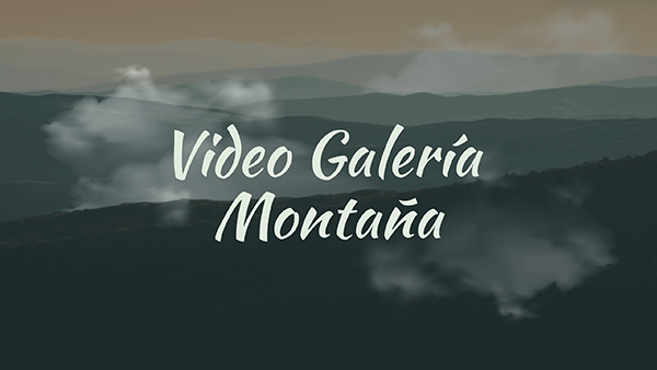 Plantillas de vídeos | Genially